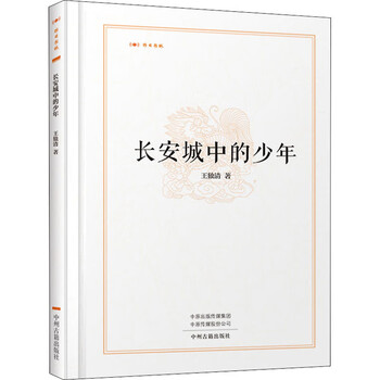 长安城中的少年