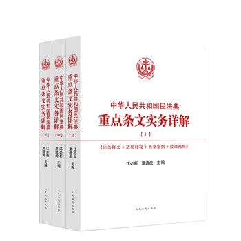【现货正版】中华人民共和国民法典重点条文实务详解 江必新 夏道虎