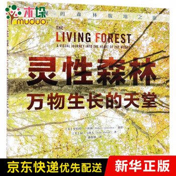 灵性森林(万物生长的天堂)