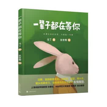 一辈子都在等你传记  图书