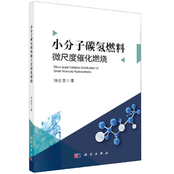 小分子碳氢燃料微尺度催化燃烧