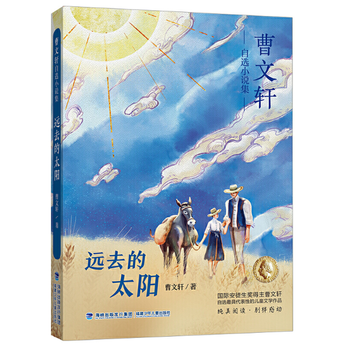 远去的太阳