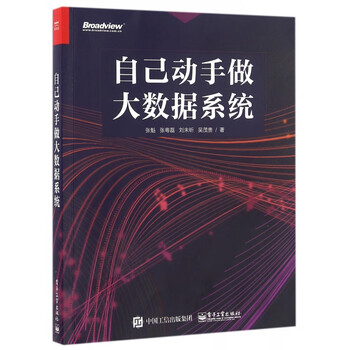 自己动手做大数据系统