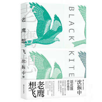 老鹰想飞