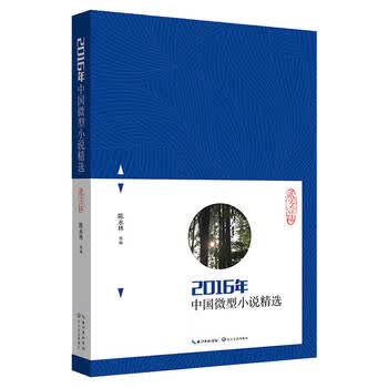 2016年中国微型小说精选 陈永林