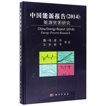 中国能源报告(2014能源贫困研究)(精)