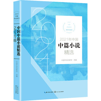 2021年中国中篇小说精选