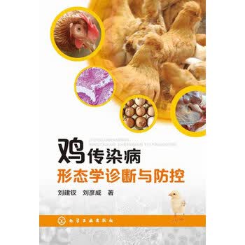 鸡传染病形态学诊断与防控【正版图书】