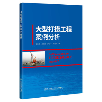 大型打捞工程案例分析