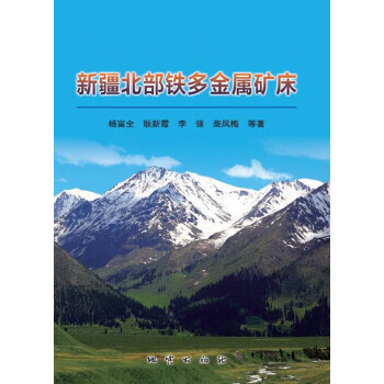 北部铁多金属矿床【正版图书】