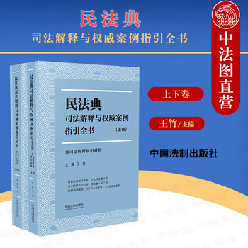 法典司法解释与权威案例指引全书 全2卷 王竹 法制 条文主旨新旧对照关联法规司法解释适用案例指导