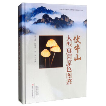 情报编写：文体与语言