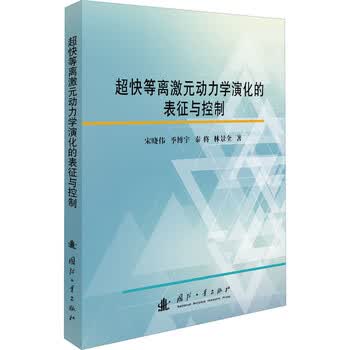 超快等离激元动力学演化的表征与控制
