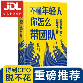 不懂年轻人 你怎么带团队 戴愫 9787559645432