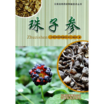 珠子参/云南名特药材种植技术丛书