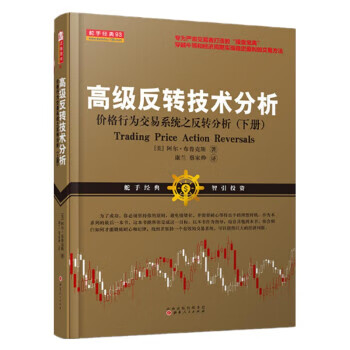 高级反转技术分析：价格行为交易系统之反转分析(下册)