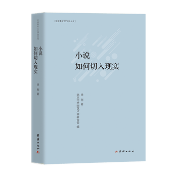小说如何切入现实