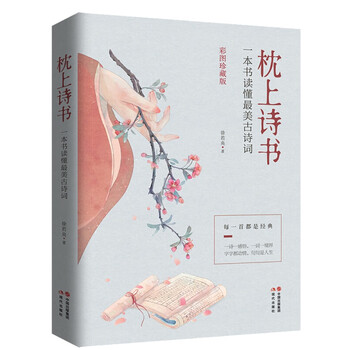 枕上诗书系列全套4册 一本书读懂最美古诗词+遇见最美唐诗+遇见最美宋词+他们有才亦有爱 中国文学浪漫古诗词读美的诗品深情的词做更好的自己 枕上诗书一本书读懂美古诗词