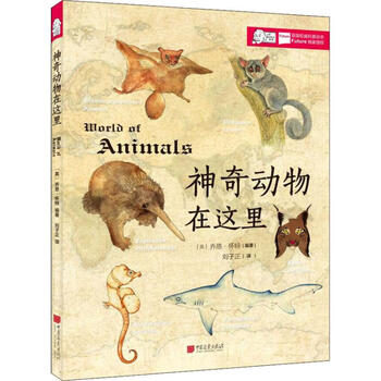神奇动物在这里