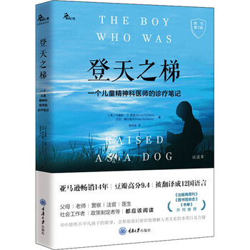 登天之梯 一个儿童精神科医师的诊疗笔记 原书第3版 书籍