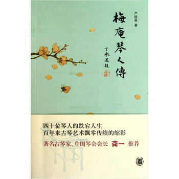 梅庵琴人传 严晓星