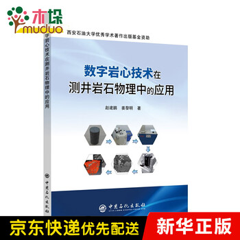 数字岩心技术在测井岩石物理中的应用