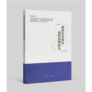 我国社会治安协同治理研究
