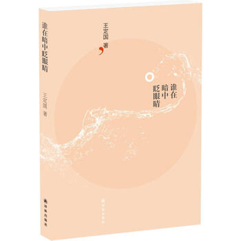 谁在暗中眨眼睛 王定国 小说 9787544756488