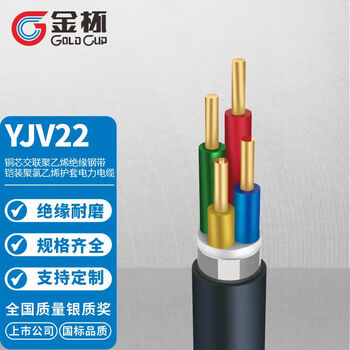 【金杯YJV22-0.6/1KV-3×10+1×6】金杯（GOLD CUP）电线电缆 YJV22 3×10+1×6 铠装铜芯电缆 单米价（30米起拍，货期20天）定制产品不支持退换【行情 报价 ...