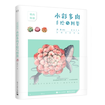水彩多肉手绘与图鉴