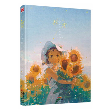 摇光:丁丁框个人画集