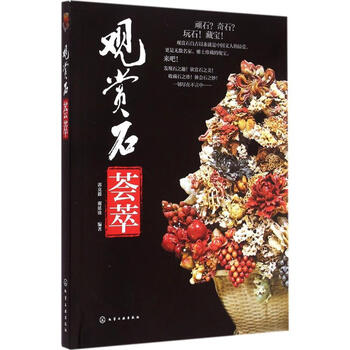 观赏石荟萃