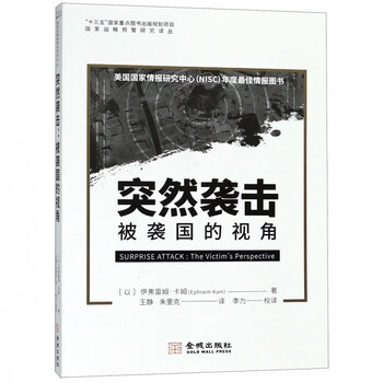 突然袭击(被袭国的视角)/国家战略预警研究译丛