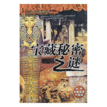 宝藏秘密之谜 王霖 科普读物 9787560128627