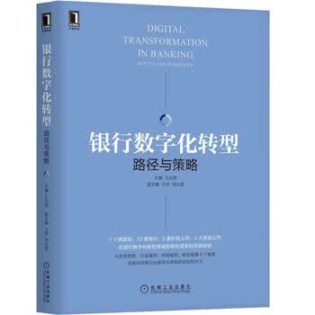 银行数字化转型:路径与策略 王松奇  金融投资经济管理