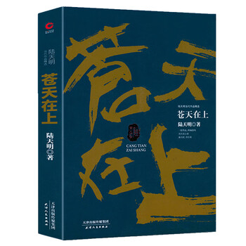 陆天明当代作品精选 苍天在上 定价49