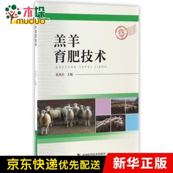 羔羊育肥技术