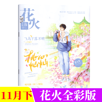 花火杂志 全彩版 2021年11月B
