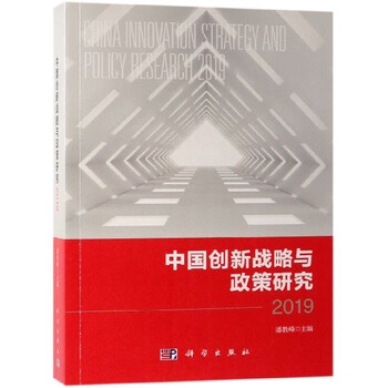 中国创新战略与政策研究(2019)