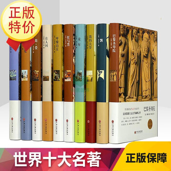 世界十大名著全10册精装套装 巴黎圣母院/飘/童年/傲慢与偏见/复活/红与黑/简爱/ 呼啸山庄/ 在