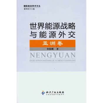 世界能源战略与能源外交·亚洲卷