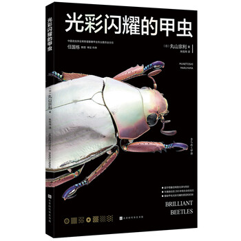正版 光彩闪耀的甲虫（插图版）9787569933994