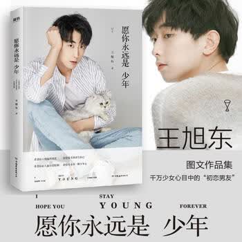 愿你永远是少年/王旭东