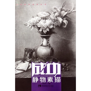 静物素描/成功系列高考丛书
