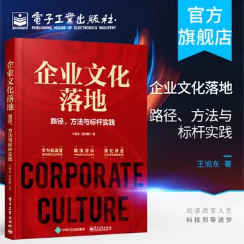 官方正版 企业文化落地 路径 方法与标杆实践 王旭东 孙科柳著 微软华为阿里巴巴国家电网