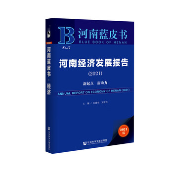 河南蓝皮书：河南经济发展报告（2021） : 新起点　新动力