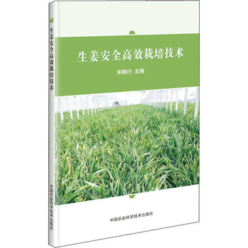 生姜安全高效栽培技术