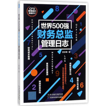 世界500强财务总监管理日志武永梅 著 