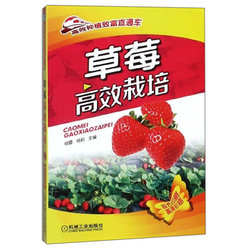 草莓栽培 双色印刷 种植致富直通车