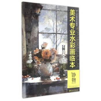 静物/美术专业水彩画临本